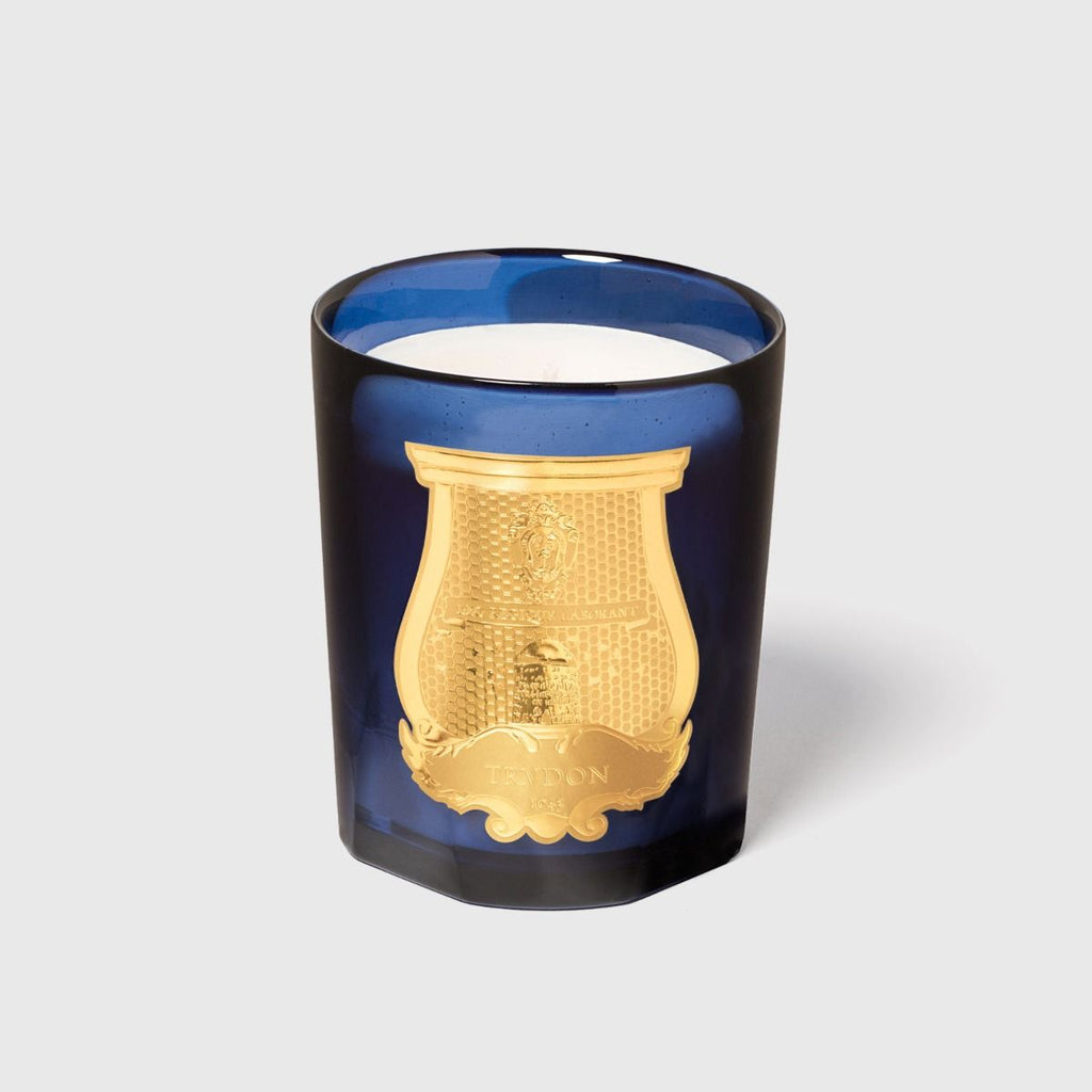 Reggio Scented Candle Jar | Trudon | Aromatic Wax Candle | Single Wick ...